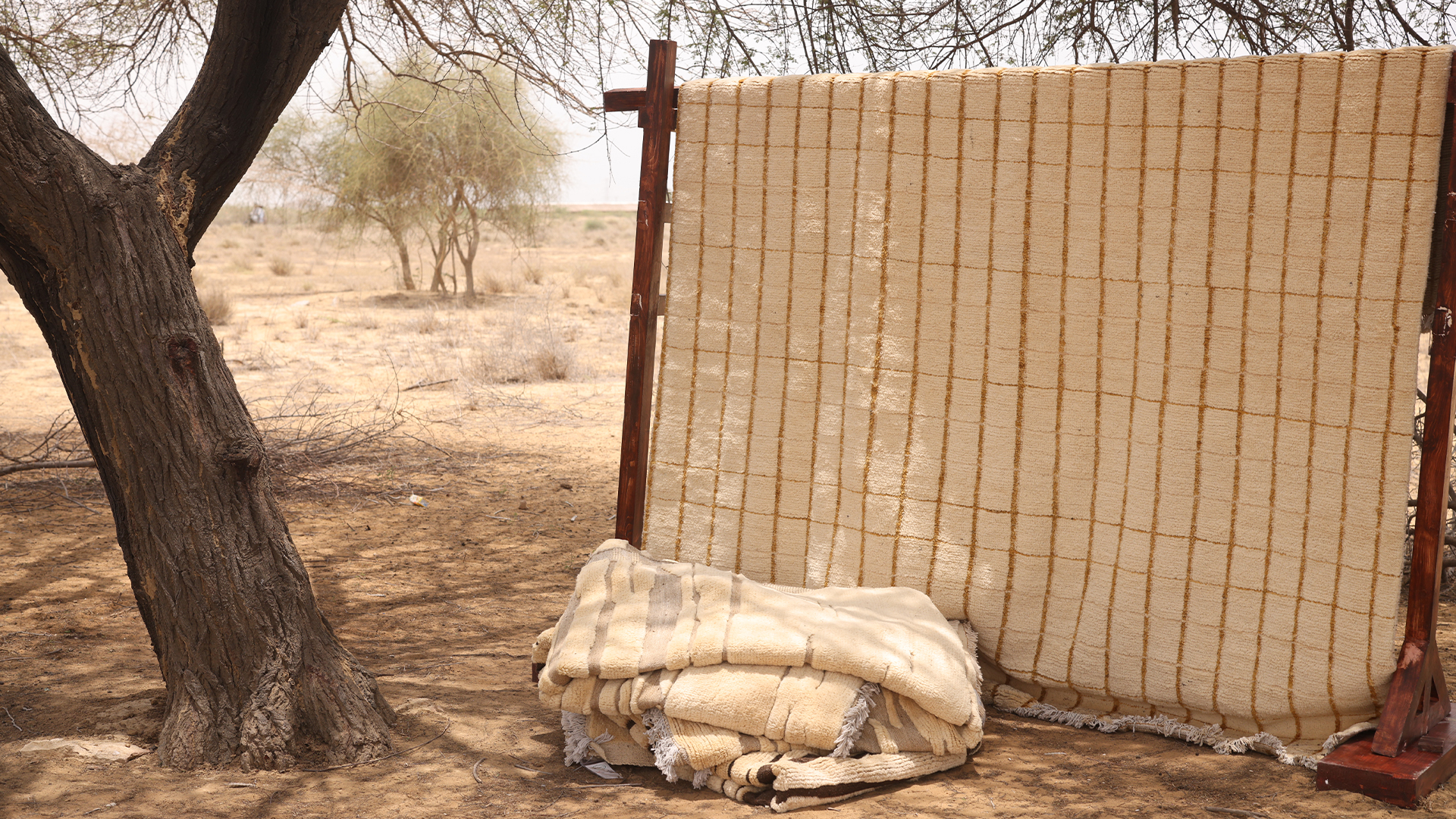 Imaco Rugs - Label STEP